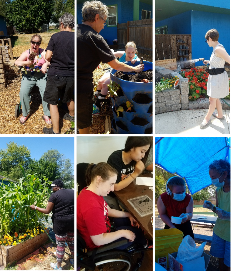 Horticultural Therapy – Imagine Possibilities Center